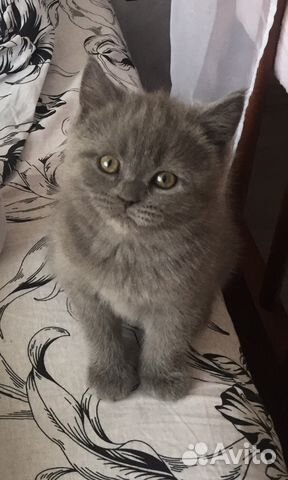 Очаровательная малышка