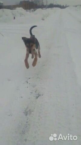 Мальчишка Тишка в добрые ручки