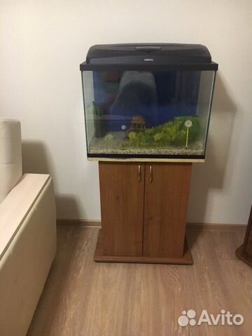 Аквариум