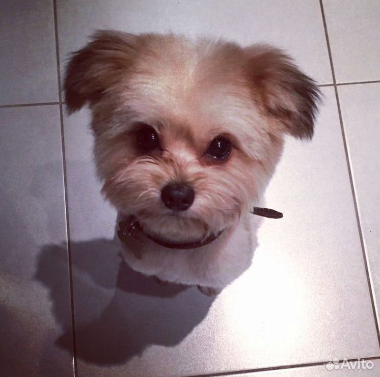 Подыскиваем невесту )