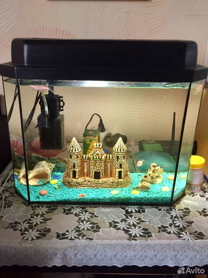 Аквариум с рыбкамм
