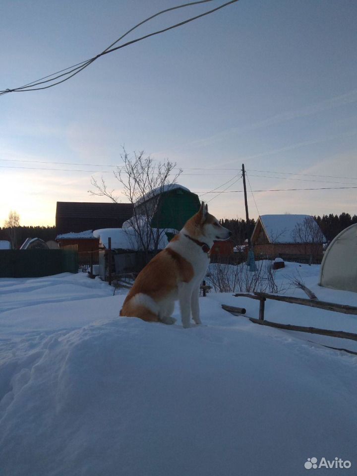 Вязка