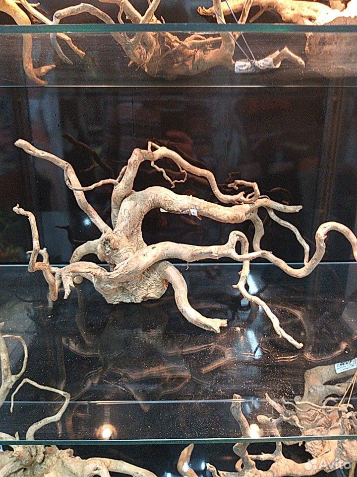 Коряги "паучьи корни" натуральные