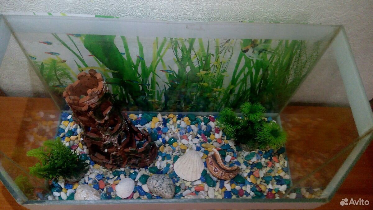 Аквариум с декором