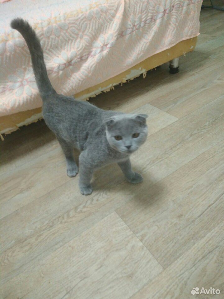 Сладкая парочка