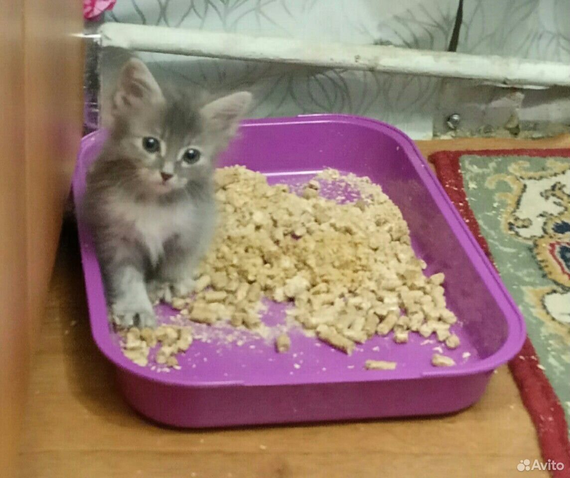 Мама ты за мной