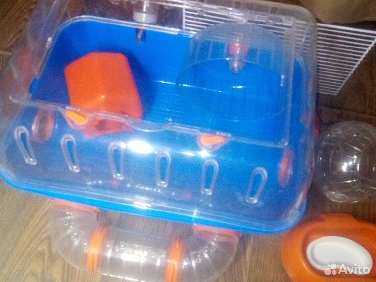 Джунгарика дом