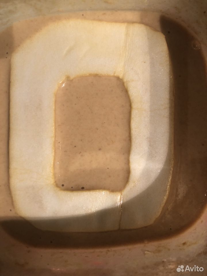 Нематода, уксусная угрица