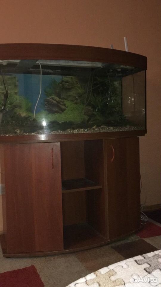 Продам аквариум 200 л