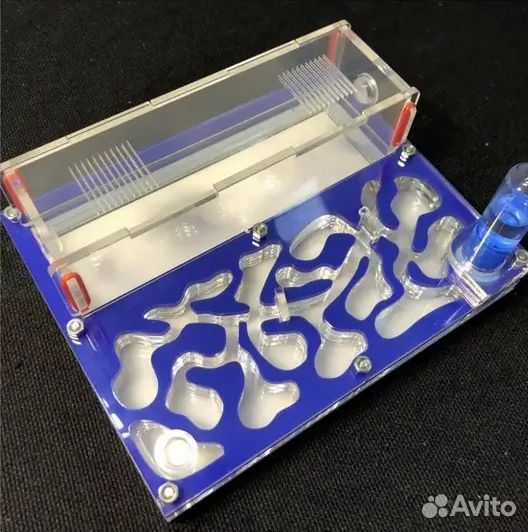 Формикарий