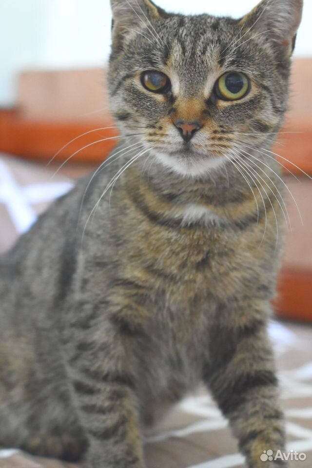 Прекрасная Манечка