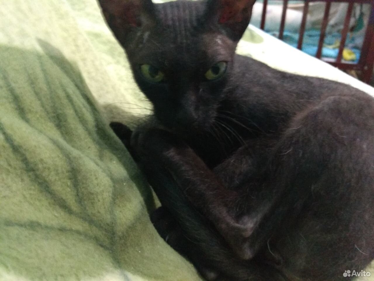 Вязка.Симферополь