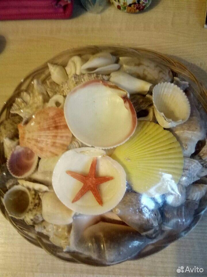 Ракушки