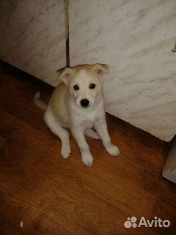 Отдадим в ответственные руки