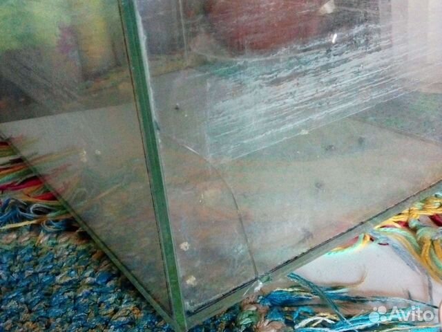 Аквариум для использования без воды для сухопутных