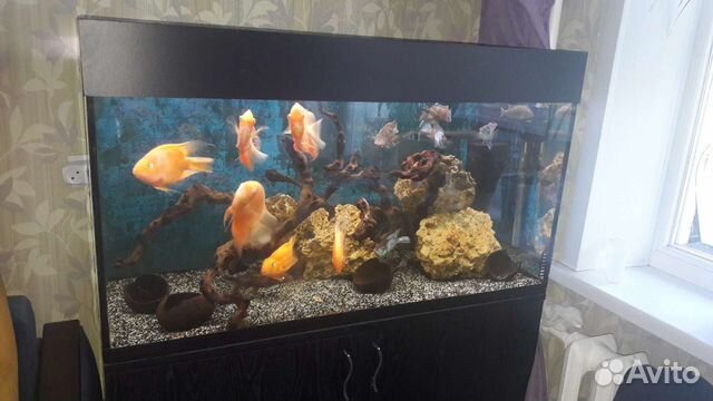 Аквариум 225 л