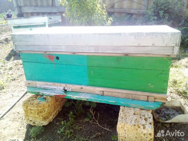Улей с пчелами полный