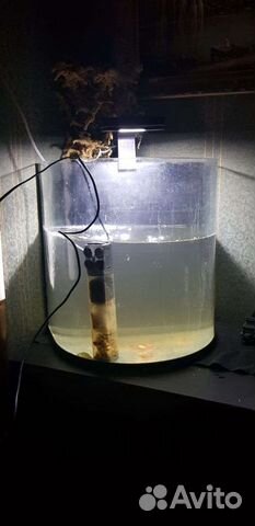 Аквариум tetra 60