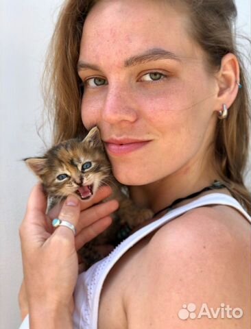 Котенок Табби в загородный дом