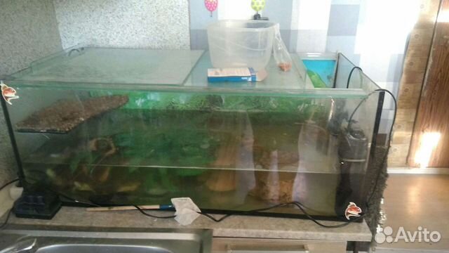 Аквариум-черепашник с оборудованием
