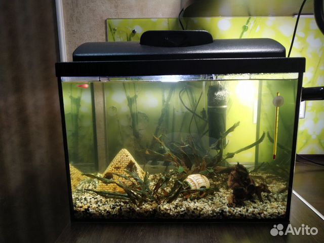 Аквариум