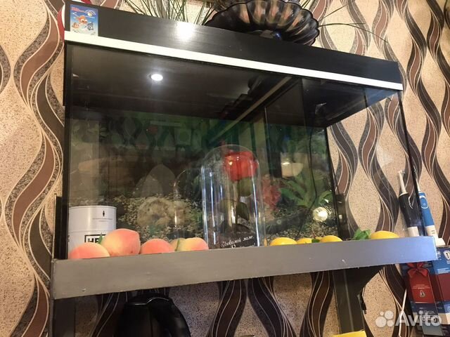 Акаариум