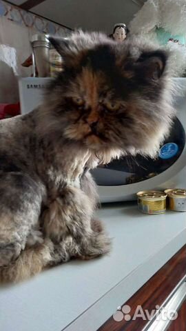 Персидская