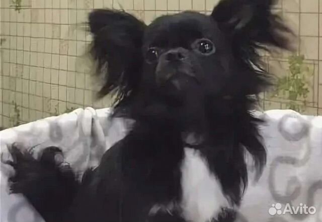 Супер парень