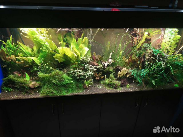 Аквариум 510 литров