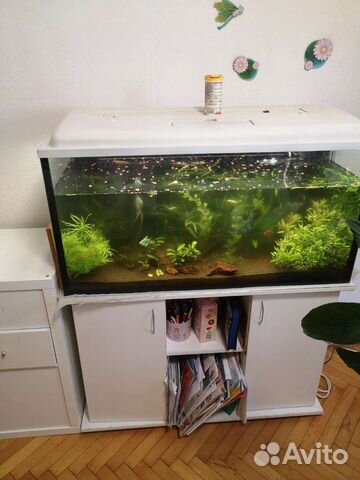 Аквариум с тумбой 200 литров