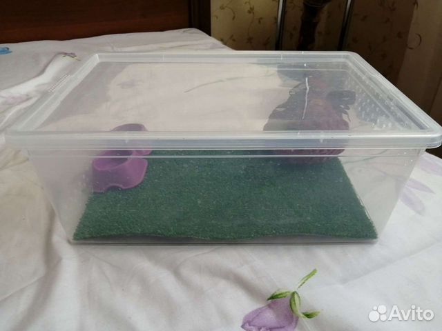 Террариум для рептилий