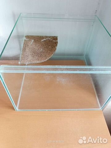 Черепашник