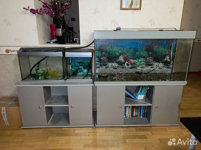 Аквариумы 50, 80, 200 литров (в полном коплекте)