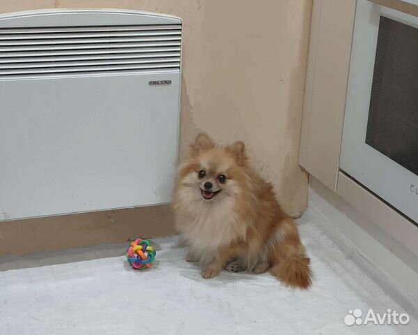 Стерилизованная девочка