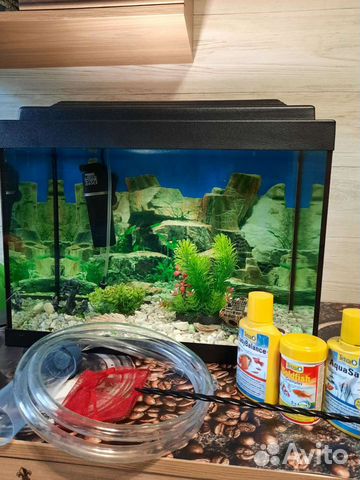 Аквариум укомплектованный