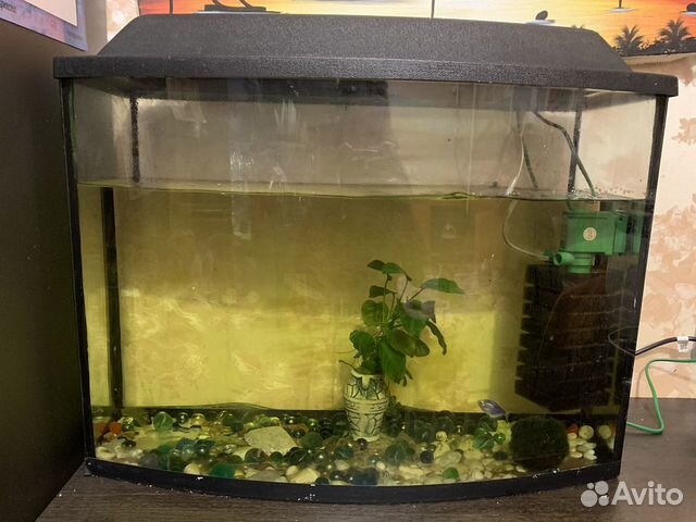 Аквариум - телевизор 60л с рыбкой