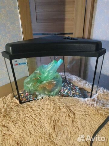 Аквариум угловой панорамный вогнутый 33 литра