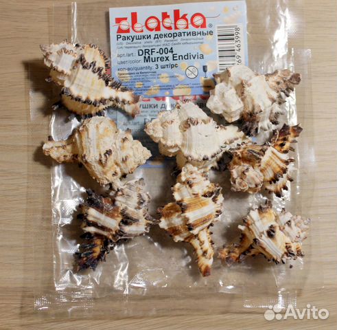 Ракушки декоративные
