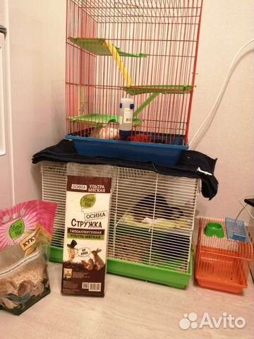 Декоративная крыса с клеткой