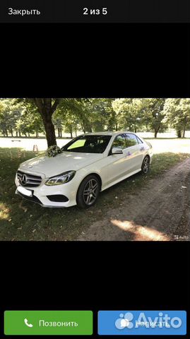 Индюки индюшки индейки