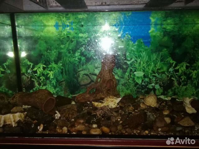 Аквариум 200 литров с тумбой и крышкой
