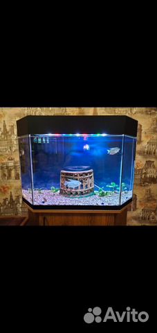 Аквариум