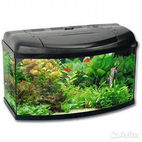 Аквариум акваэль 25л