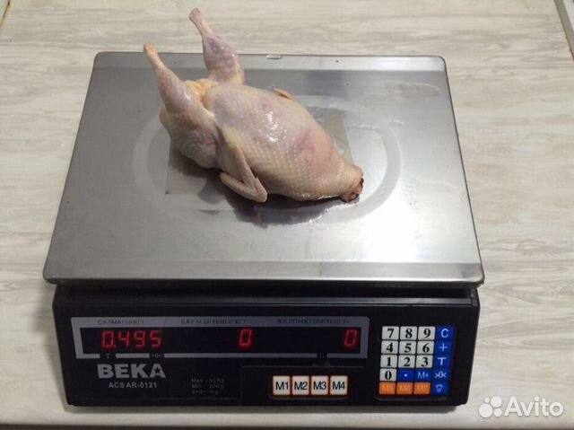 Перепелинные инкубационные яйца