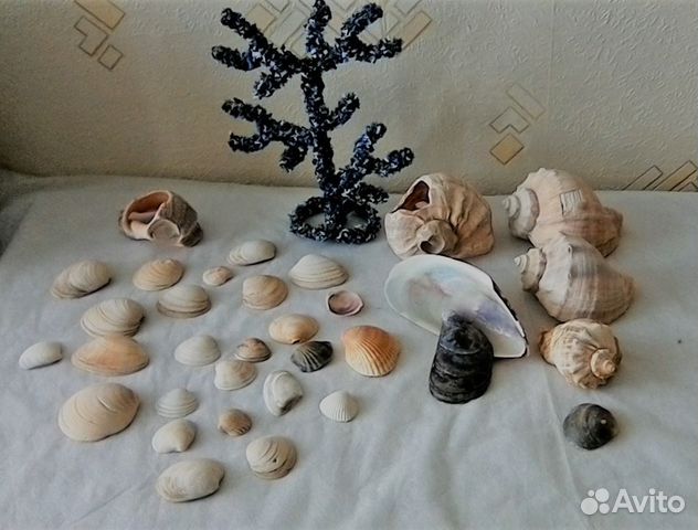 Декор для аквариума - иск.коралл, ракушки