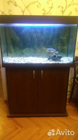 Аквариум 110л