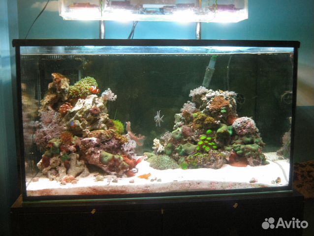 Морской аквариум на 220л