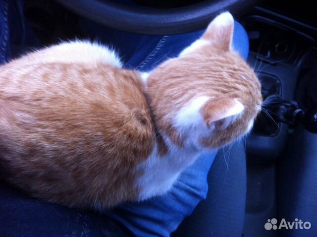 В надёжные руки