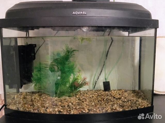 Аквариум Aquael с компркссором и фильтром (прочее)