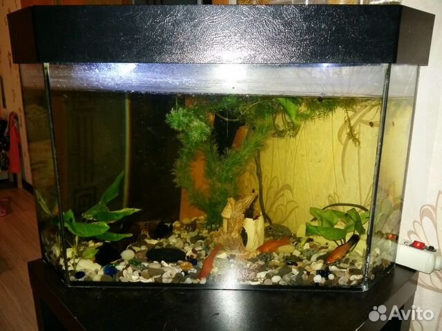 Продам аквариум